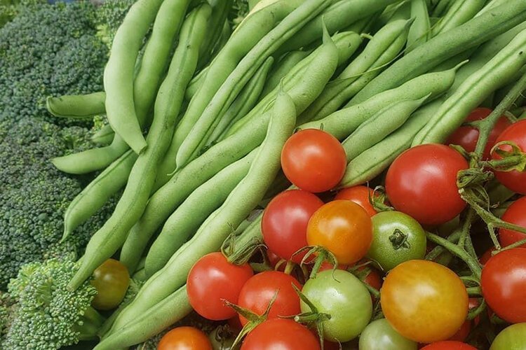 Master gardener shares tips for starting a garden sustainably and on a ...